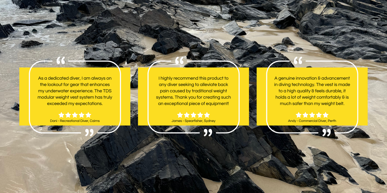 Diving Weight Vest | No Weight Belts. No Slipping. No Back Pain | TDS ...