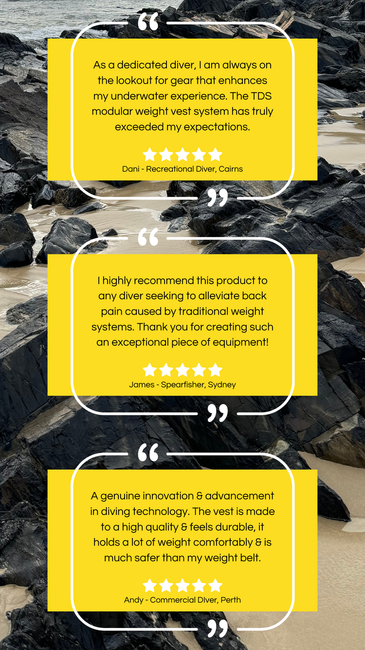 Diving Weight Vest | No Weight Belts. No Slipping. No Back Pain | TDS ...